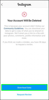 Instagram Account Deleted? Here's What You Can Do About It