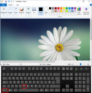 Where Does Windows Save Screenshots?