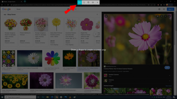 Where Does Windows Save Screenshots?