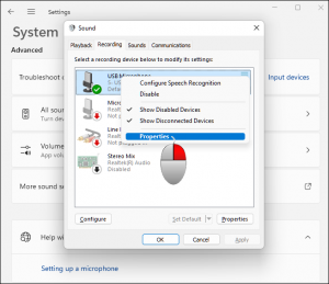 How to Increase the Microphone Volume in Windows 11