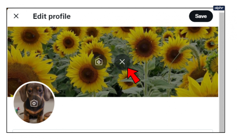 How to Remove Your Profile Picture on Twitter