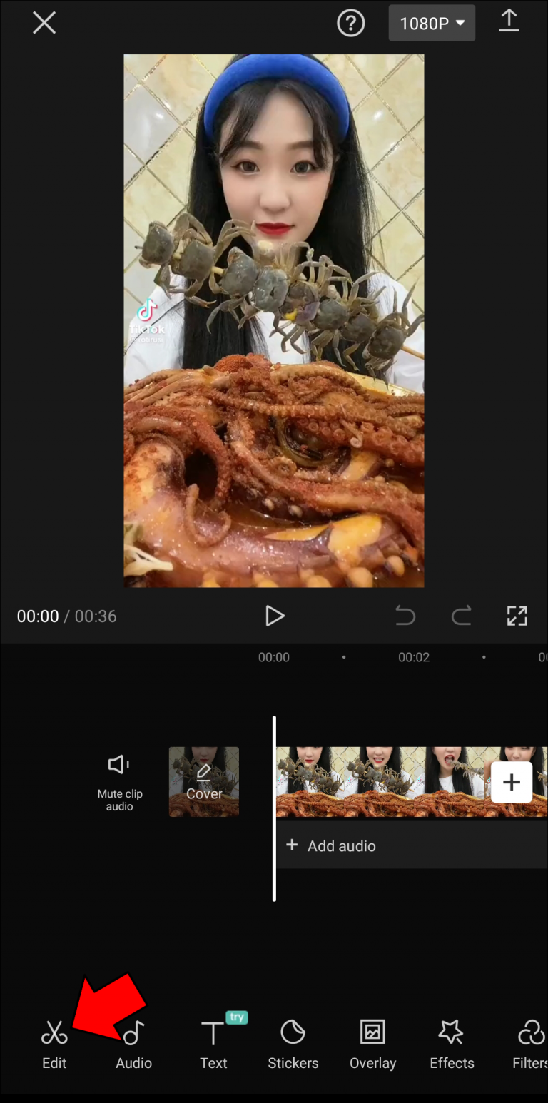 How To Add Blur to a Photo or Video in CapCut