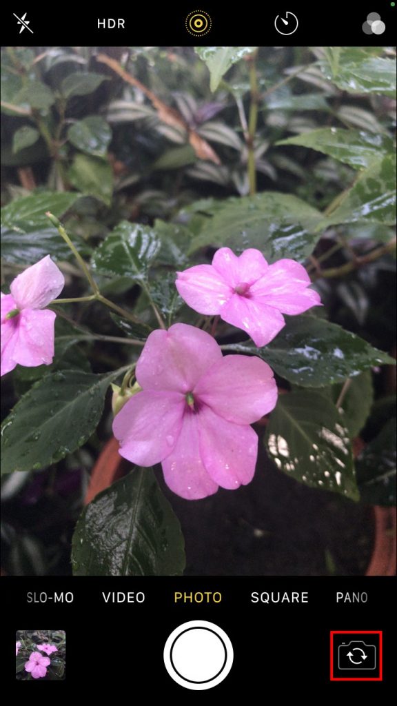 How to Loop a Video on an iPhone