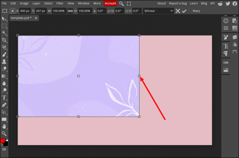How to Remove the Background from a Photo in PhotoPea