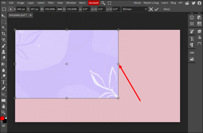 How to Remove the Background from a Photo in PhotoPea