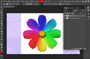 How to Remove the Background from a Photo in PhotoPea