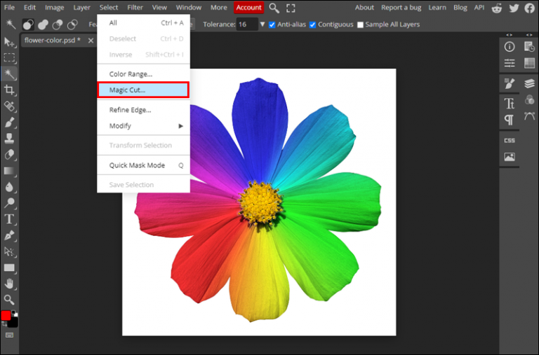 How to Remove the Background from a Photo in PhotoPea