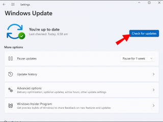 How To Windows 11 Not Detecting a Printer