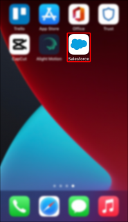 How to Login Into Salesforce as Another User