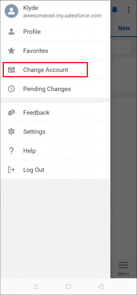 How to Login Into Salesforce as Another User