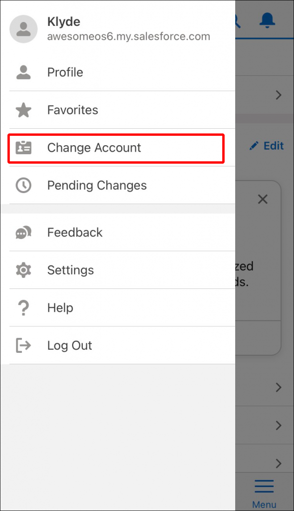 How to Login Into Salesforce as Another User