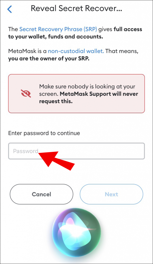 How To Find Your Secret Recovery Phrase in MetaMask