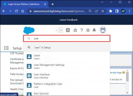 How to Login Into Salesforce as Another User