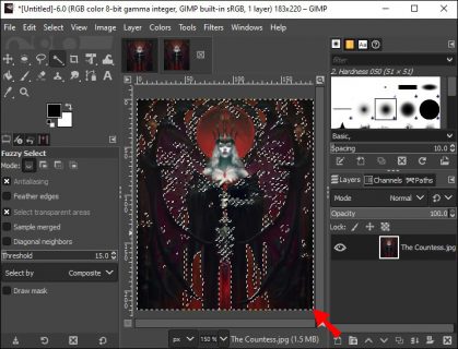 How To Remove the Background in GIMP