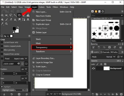 How To Cut Out a Selection in Gimp
