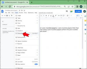 How To Add Footnotes To a Google Doc
