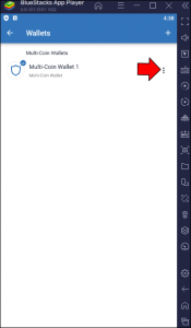How to Get Your Private Key in Trust Wallet