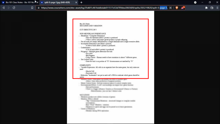 How To Unblur Course Hero Content