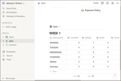 How To Use Notion Offline