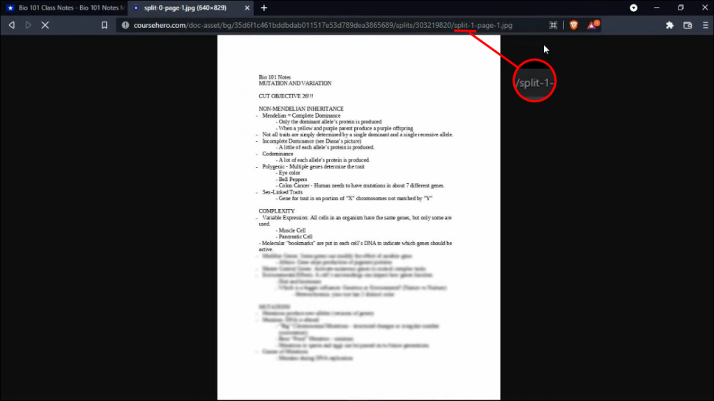 How To Unblur Course Hero Content