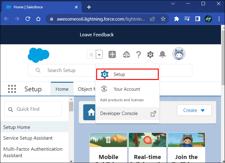 How to Login Into Salesforce as Another User
