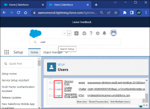 How to Login Into Salesforce as Another User