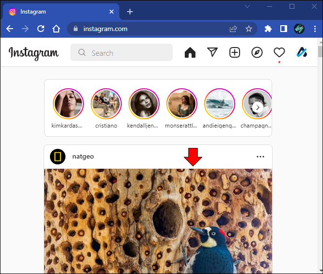 How To Download Instagram Photos from a PC