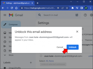 How To View Your Blocked Emails in Gmail