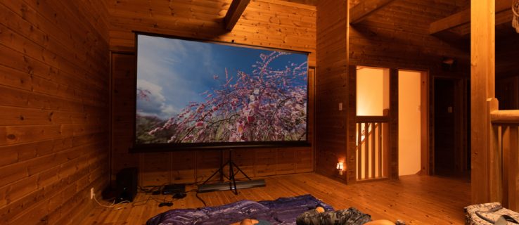 Alex Baum, Author at Alphr