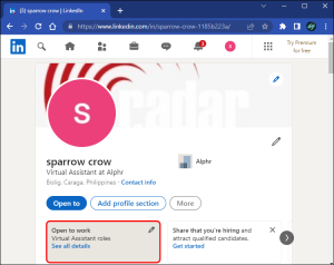 How To Remove Open to Work in LinkedIn