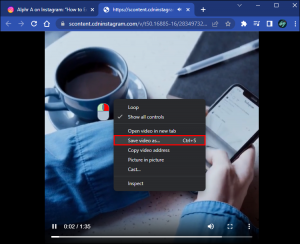 How To Download Instagram Photos from a PC