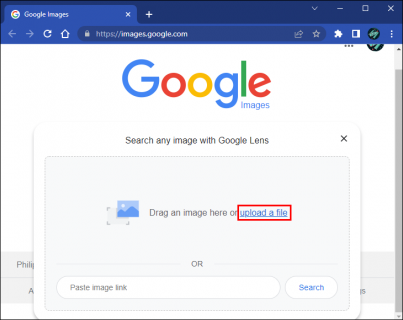 The Best Facial Recognition Search Engines