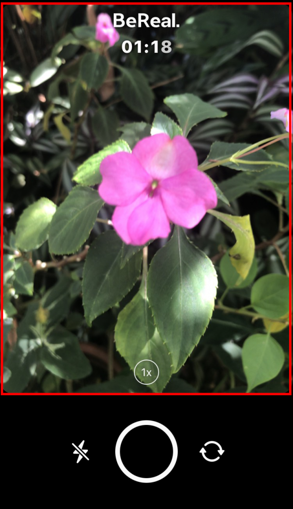 How To Post to BeReal from a PC or Mobile Device