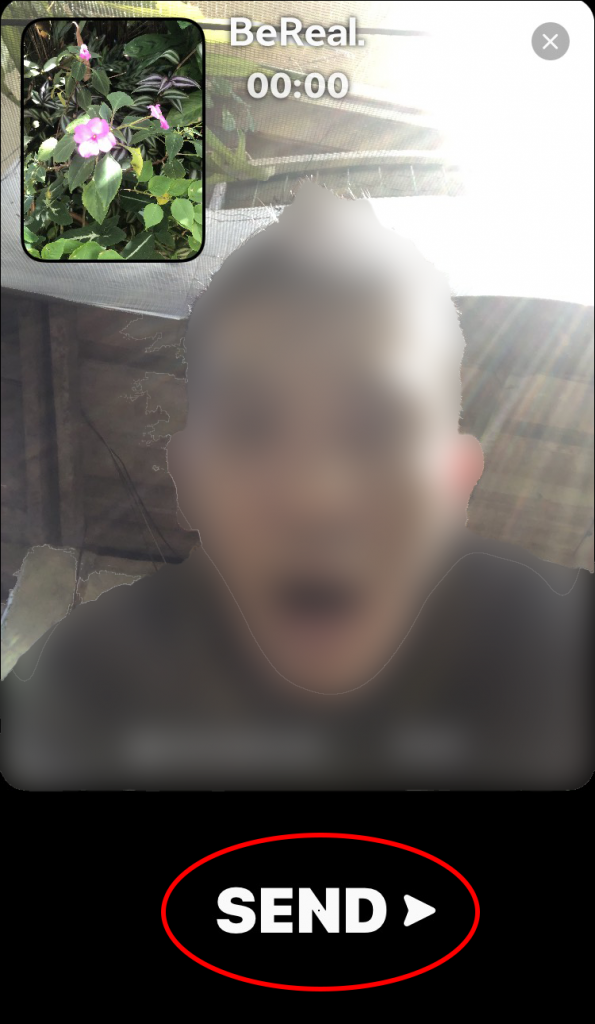 How To Post to BeReal from a PC or Mobile Device