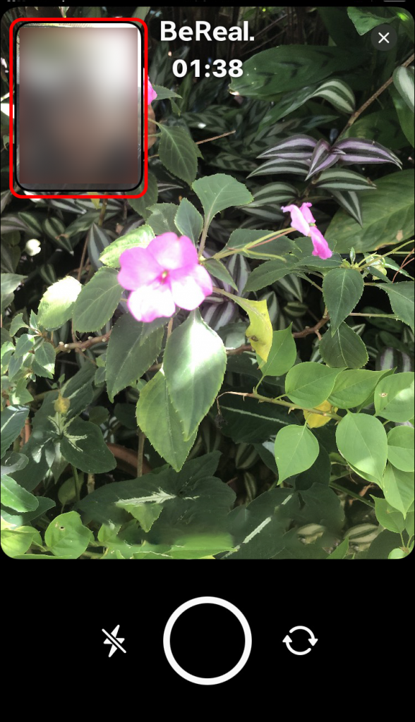 How To Post to BeReal from a PC or Mobile Device