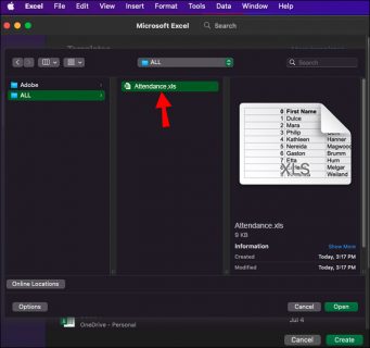 How To Open XLSX Files on a Mac