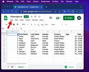 How To Open XLSX Files on a Mac