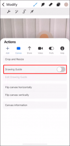 How To Mirror Objects in a Drawing in Procreate
