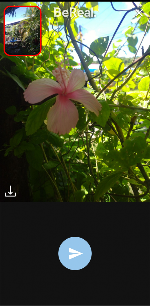 How To Use BeReal - A Complete Guide