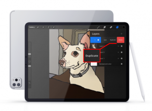 How To Mirror Objects in a Drawing in Procreate