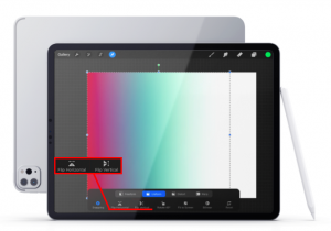 How To Mirror Objects in a Drawing in Procreate