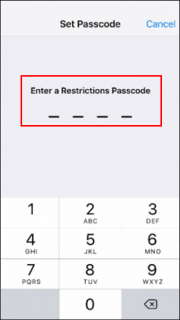 How To Disable the Camera on an iPhone