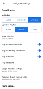 How To Fix Google Maps Voice Not Working