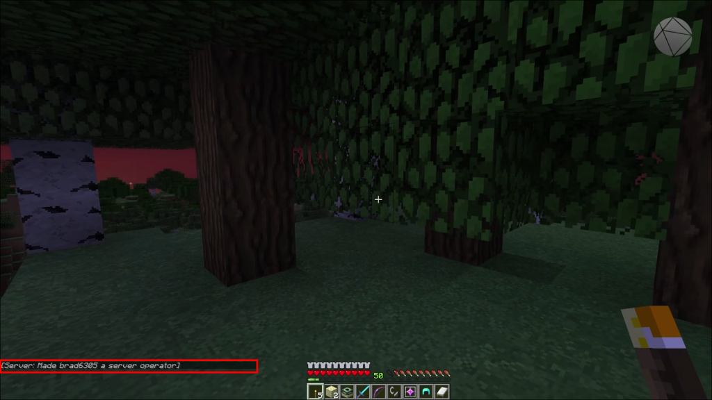 How To Find the Seed of a Minecraft Server