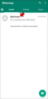 How to Download a Video from WhatsApp