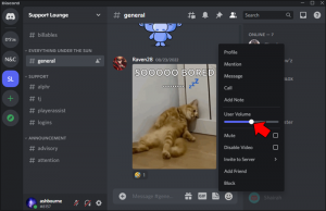 The Best Discord Tips and Tricks
