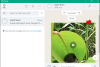 How to Download a Video from WhatsApp
