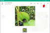 How to Download a Video from WhatsApp