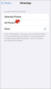 How to Download a Video from WhatsApp