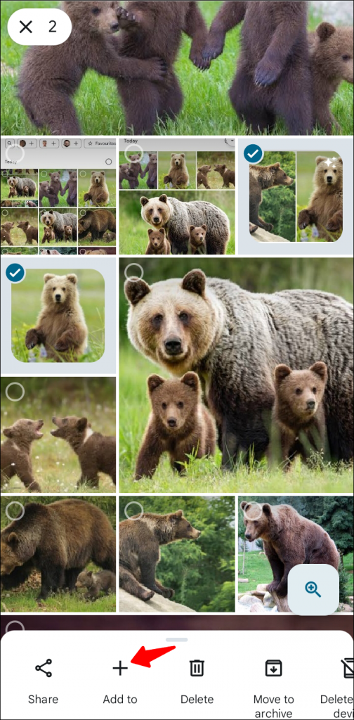How To Put 2 Pictures Side by Side